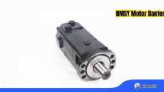 BMSY Hydraulic Motor