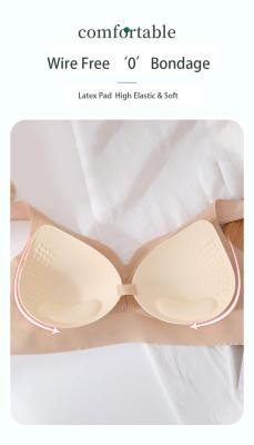 Cina La pianura comoda delle donne del reggiseno senza cuciture di nylon di sport ha tinto la chiusura posteriore del lattice in vendita