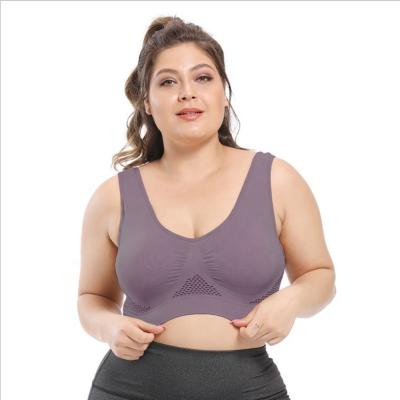 Cina L'yoga mette in mostra la grande biancheria intima del pizzo del cotone dei reggiseni 44C 44D 3XL 4XL delle signore in vendita
