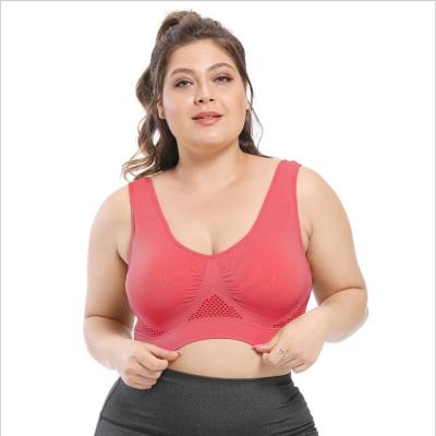 Cina L'yoga mette in mostra la grande biancheria intima del pizzo del cotone dei reggiseni 44C 44D 3XL 4XL delle signore in vendita