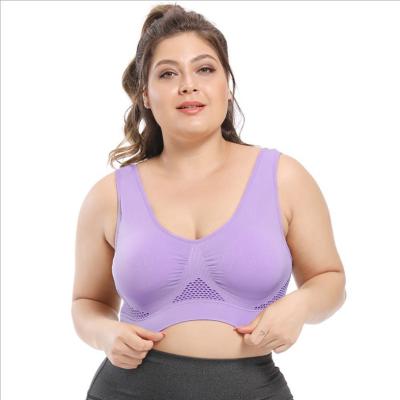 Cina L'yoga mette in mostra la grande biancheria intima del pizzo del cotone dei reggiseni 44C 44D 3XL 4XL delle signore in vendita