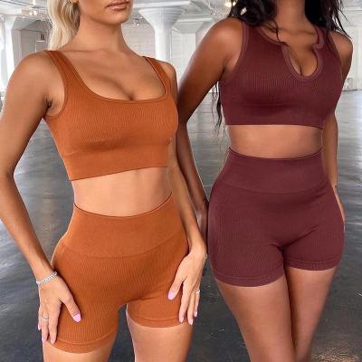 Cina Reggiseno superiore Elastane di sport della tazza del raccolto lungo pieno della manica 2 pc/insieme in vendita