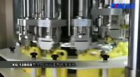China Fully Automatic Capping Machine Rotary PLC Controlled Pump Cap Capping Machine for sale