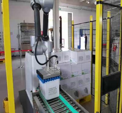 China collaborative robot palletizing system with low price and high efficiency reduce labor cost for sale