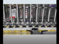 Equipamentos inteligentes da TOM ajudam o produtor de shampoo a projetar e construir a linha de enchimento