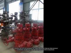 Olieveld die 5000psi-de Datatransportbesturing van de Bronkerstboom boren