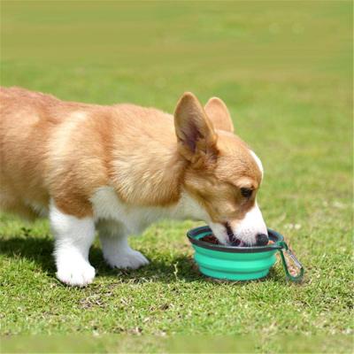 Cina Ciotola a perfetta tenuta pieghevole del cane del silicone, alimentatore ispessito dell'animale domestico del silicone in vendita