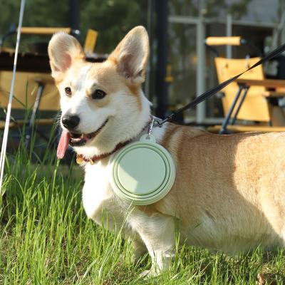 Cina Fornitori insipidi pratici dell'animale domestico del silicone, ciotole pieghevoli leggere del cane in vendita