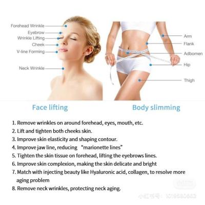 Cina 6 in 1 macchina di HIFU Vaginal Tightening Microneedling rf per l'anti grinza di lifting facciale in vendita