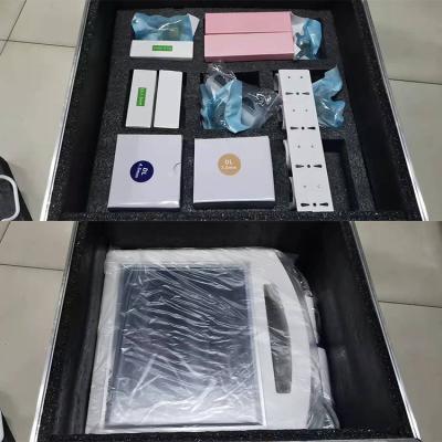 Cina 6 in 1 macchina di HIFU Vaginal Tightening Microneedling rf per l'anti grinza di lifting facciale in vendita