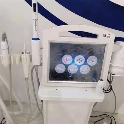 Cina 6 in 1 macchina di HIFU Vaginal Tightening Microneedling rf per l'anti grinza di lifting facciale in vendita