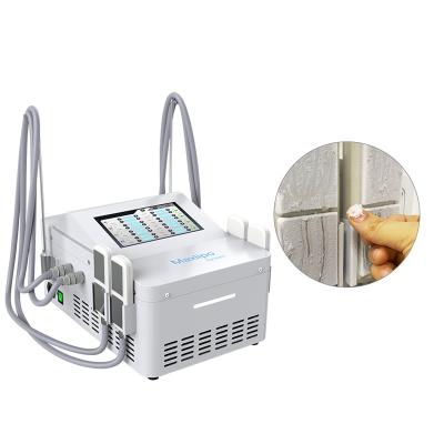 Cina Il piatto portatile di Cryo di tecnologia/rema la macchina per il dimagramento di SME in vendita