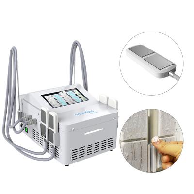 Cina Il piatto portatile di Cryo di tecnologia/rema la macchina per il dimagramento di SME in vendita