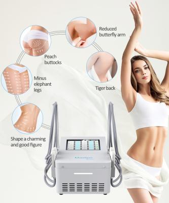 Cina Ente di macchina di dimagramento fresco di 4 Cryo che modella cuscinetto con lo SME in vendita