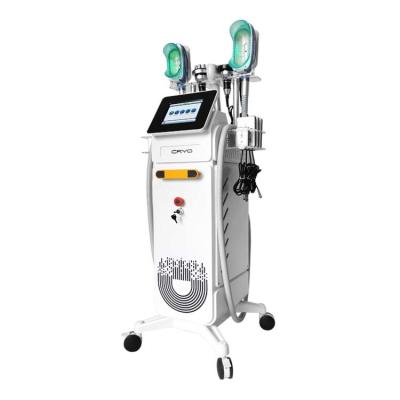 Cina 360 Cryolipolysis che dimagrisce macchina/rimozione grassa delle celluliti della macchina di congelamento in vendita