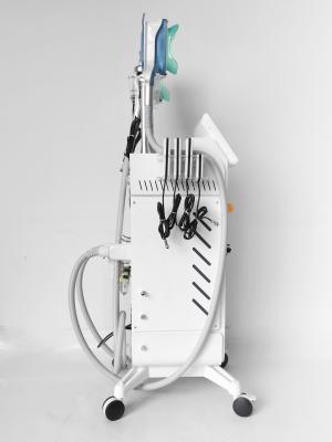 Cina 360 Cryolipolysis che dimagrisce macchina/rimozione grassa delle celluliti della macchina di congelamento in vendita