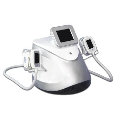 Cina 4 tratta l'ente di congelamento grasso di perdita di peso della macchina di 360 Cryolipolysis che scolpisce la macchina in vendita