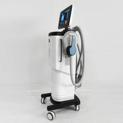 Cina Neo Electromagnetic Body Cold Ems Sculpting Machine 220V 50Hz in vendita