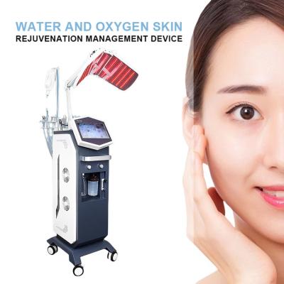 China 13 Multifunction em 1 máquina facial 300w 240V da terapia de oxigênio à venda