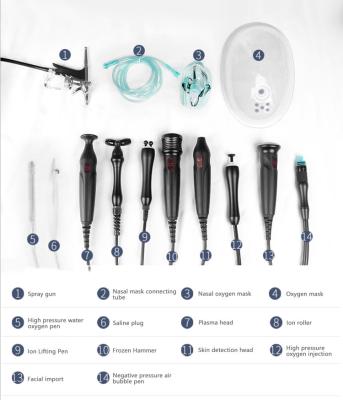 China 13 Multifunction em 1 máquina facial 300w 240V da terapia de oxigênio à venda