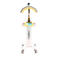 China Ce Vertical 7 Colors PDT LED Light Therapy Machine For Sensitive Skin for sale