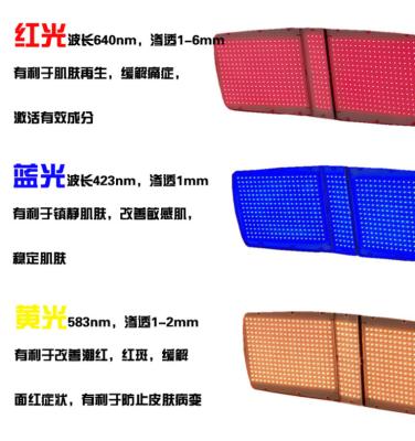 中国 専門の光子PDT LEDライト療法機械皮の若返り7色 販売のため