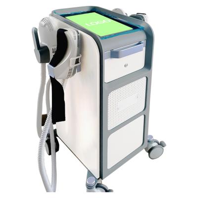 China 2022 Nieuw kom van het de Verminderingsems Lichaam van 13tesla 5600W Cellulite van de het Vermageringsdieetmachine van het het Gewichtsverlies EMS de Spierstimulator aan Te koop