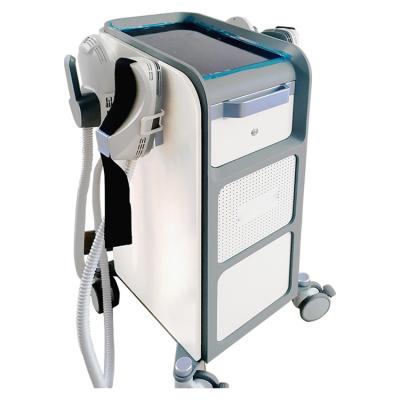 China 2022 Nieuw kom van het de Verminderingsems Lichaam van 13tesla 5600W Cellulite van de het Vermageringsdieetmachine van het het Gewichtsverlies EMS de Spierstimulator aan Te koop