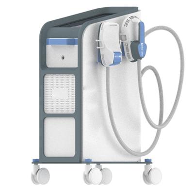 China 2022 Nieuw kom van het de Verminderingsems Lichaam van 13tesla 5600W Cellulite van de het Vermageringsdieetmachine van het het Gewichtsverlies EMS de Spierstimulator aan Te koop