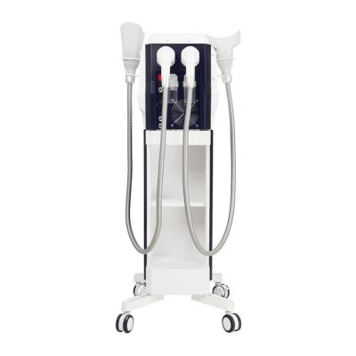 Cina Manuale grasso dell'utente della macchina di congelamento di Cryolipolysis della casa portatile multifunzionale in vendita