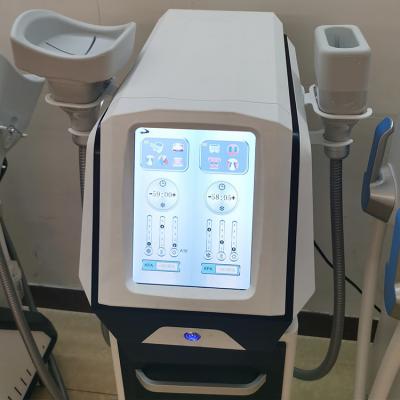 Cina Manuale grasso dell'utente della macchina di congelamento di Cryolipolysis della casa portatile multifunzionale in vendita