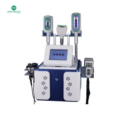 Cina 360 gradi Lipo circostante che dimagrisce macchina, macchina bruciante grassa della gelata 110V in vendita
