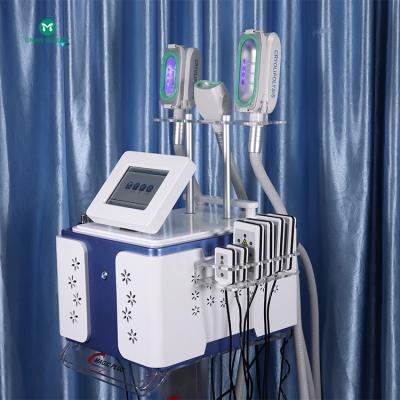 Cina 360 gradi Lipo circostante che dimagrisce macchina, macchina bruciante grassa della gelata 110V in vendita