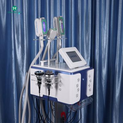 Cina 360 gradi Lipo circostante che dimagrisce macchina, macchina bruciante grassa della gelata 110V in vendita