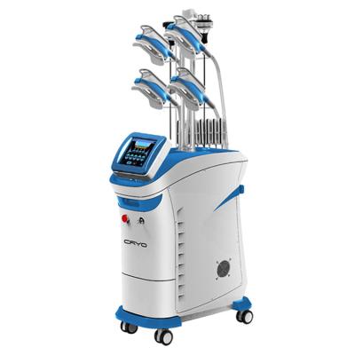 Cina Il fronte rf Cryo perde la macchina di contorno del corpo automatica per grasso si riduce in vendita