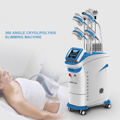 Cina Il fronte rf Cryo perde la macchina di contorno del corpo automatica per grasso si riduce in vendita