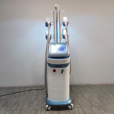 Cina Il fronte rf Cryo perde la macchina di contorno del corpo automatica per grasso si riduce in vendita