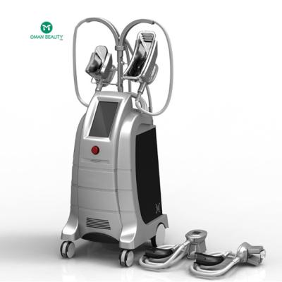 Cina Macchina di congelamento grassa di Cryolipolysis di 5 teste 360 Cryolipolysis che dimagrisce macchina in vendita