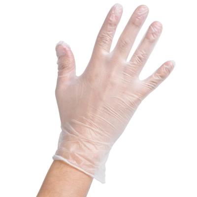 China Disposable Vinly PVC Medical Examinaiton Gloves Powdered Free for sale