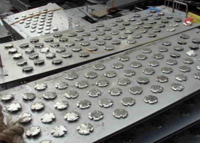 Cina Materiale fisso dell'acciaio inossidabile del vassoio della valvola di alta capacità di Productiom in vendita
