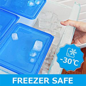 freezer safe