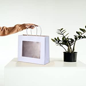 borsa del regalo con la maniglia