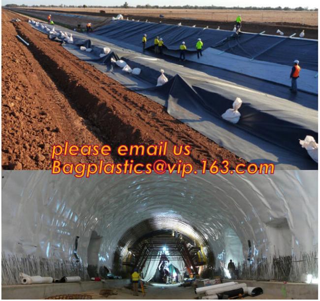 2.0mm geomembrane for landfill Hdpe geomembrane landfill geomembrane,hdpe geomembrane price/gse hdpe geomembrane BAGEASE 29