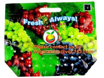 Cina Tasca della chiusura lampo, pacchetto di verdure, stampa ricoprente UV Doypack, imballaggio per alimenti, pacchetto a chiusura lampo di stoccaggio del cursore della frutta in vendita