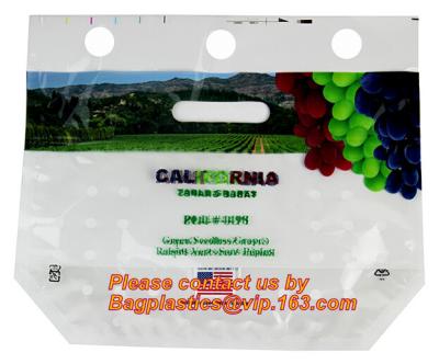 Cina Stia sul sacchetto, borse di plastica della serratura dello zip della chiusura lampo del cursore del chiaro del commestibile del congelatore dell'alimento pacchetto riutilizzabile della frutta in vendita