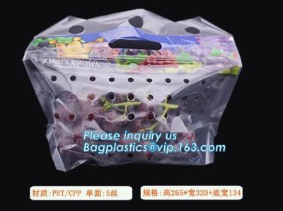 Cina Chiaro supporto a chiusura lampo sulle borse d'imballaggio del sacchetto della frutta, borse scaricate dei prodotti con la chiusura lampo, frutta di verdure al minuto in vendita