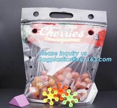 Cina Chiaro supporto a chiusura lampo sulle borse d'imballaggio del sacchetto della frutta, borse scaricate dei prodotti con la chiusura lampo, frutta di verdure al minuto in vendita