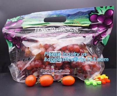 Cina Chiaro supporto a chiusura lampo sulle borse d'imballaggio del sacchetto della frutta, borse scaricate dei prodotti con la chiusura lampo, frutta di verdure al minuto in vendita