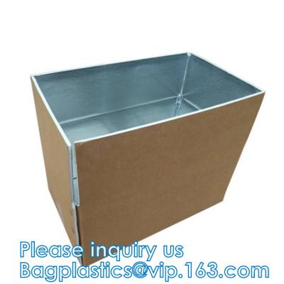 China La espuma de la hoja del cartón del embalaje del envase de la caja del refrigerador alineada guarda caliente frío para los contenedores termales de las horas en venta