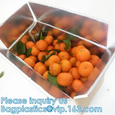 China La espuma de la hoja del cartón del embalaje del envase de la caja del refrigerador alineada guarda caliente frío para los contenedores termales de las horas en venta